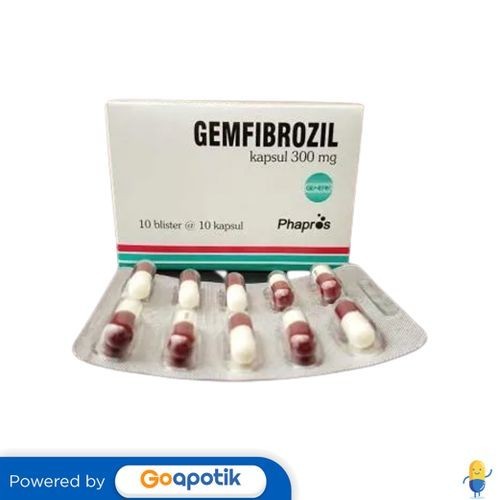 Jual Gemfibrozil Phapros 300 Mg Box 100 Kapsul | Shopee Indonesia