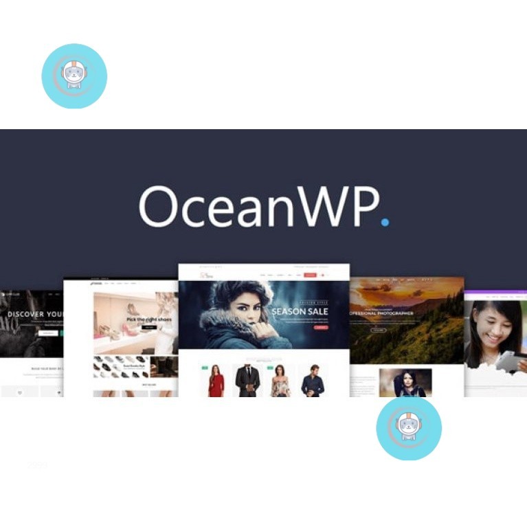 Jual OceanWP Theme + Ocean Extra v2.2.4 + Ocean Extensions WZM | Shopee Indonesia