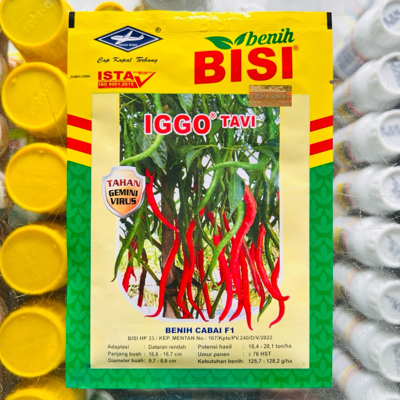 Jual GH56TG Benih Cabe Keriting Iggo Tavi F1 10gram Original Cap Kapal Terbang Bisi (Exp 02-2026 ...