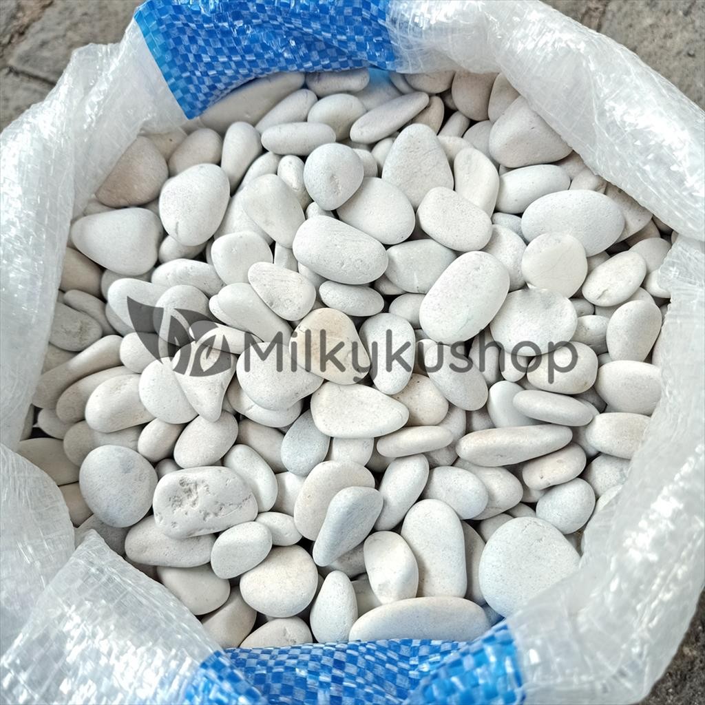Jual BATU KORAL PUTIH KECIL - HIASAN TAMAN BATU MAKAM VIA GOSEND GRAB ...