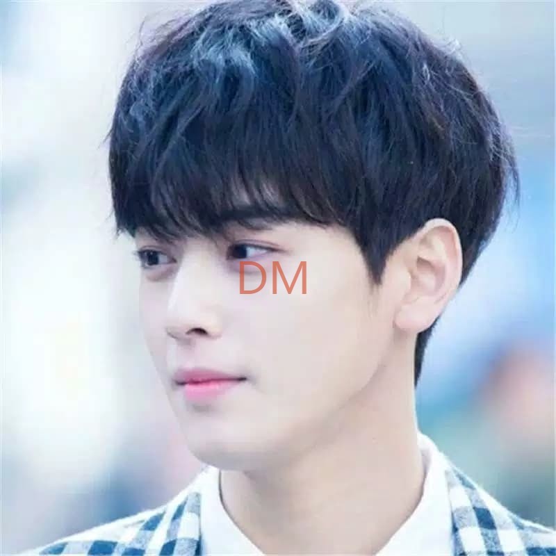 Jual 【Kiriman hari yang sama】 HIGH QUALITY WIG PRIA / RAMBUT PALSU ...