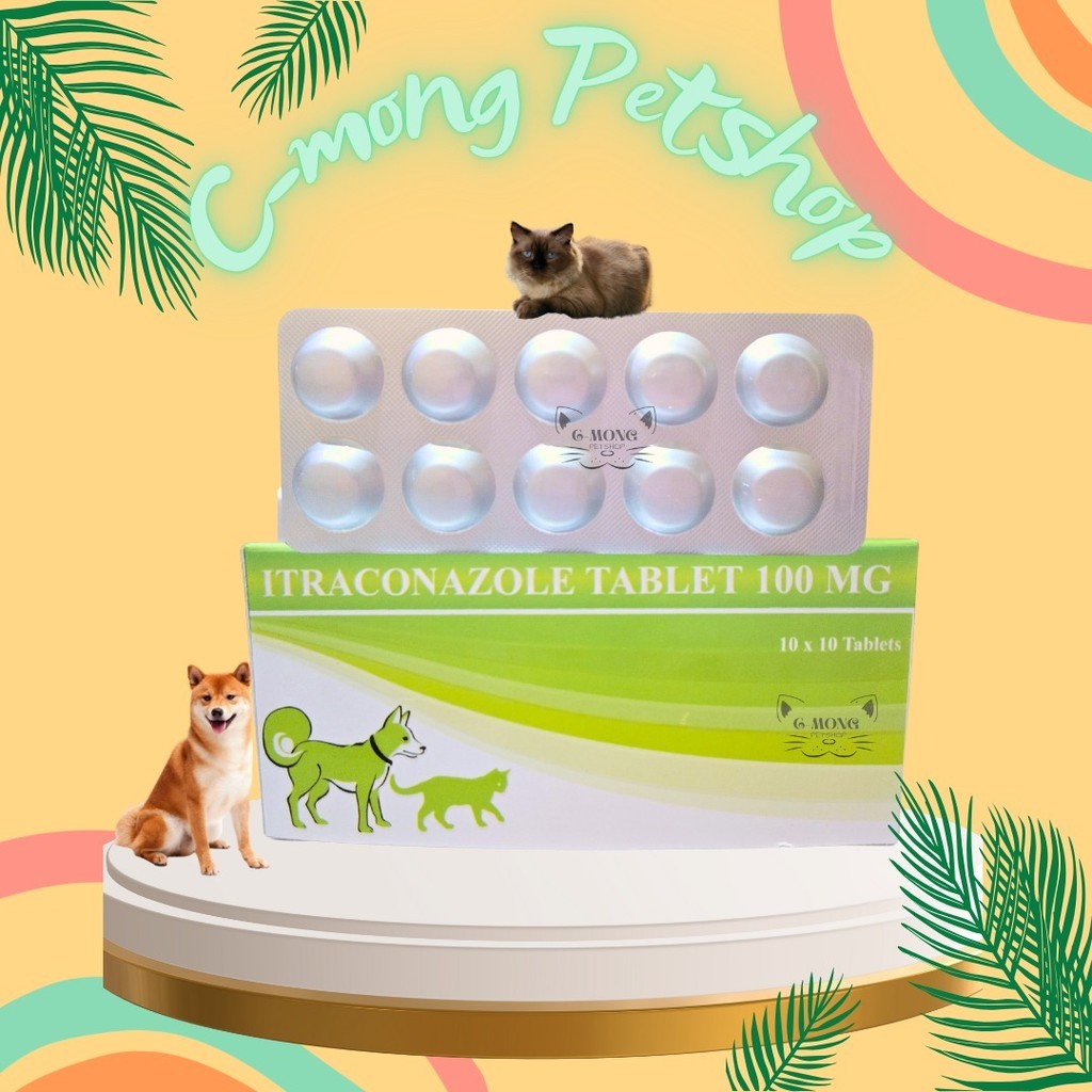 Jual Itraconazole 100mg Obat Anti Jamur Ringworm Kucing Anjing (1 ...