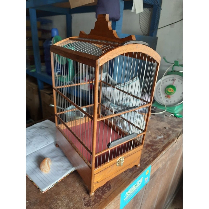 Jual SANGKAR REPLIKA BNR MATANG UNTUK BURUNG PLECI KONIN SOGON PERNIS ...