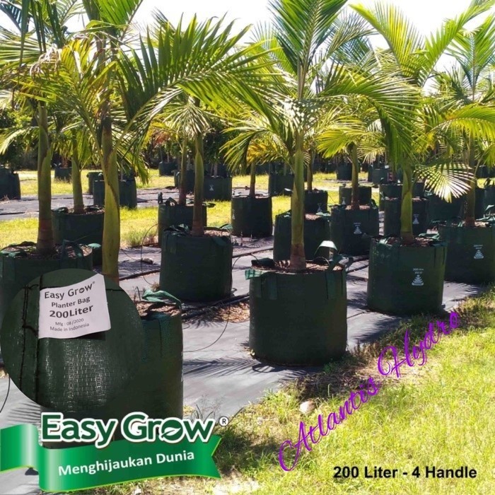 Jual PLANTERBAG 200 LITER Planter Bag Easy Grow 200 Liter Kantong Pot ...