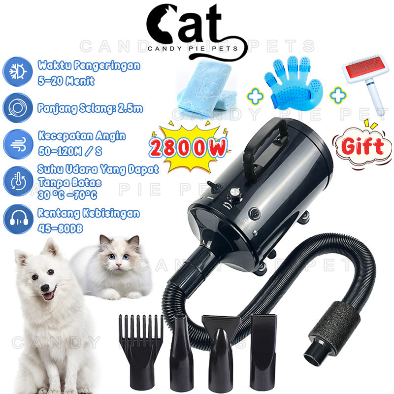 Jual 2800W Pet Blower Kucing Alat Pengering Bulu Kucing Anjing Hair ...