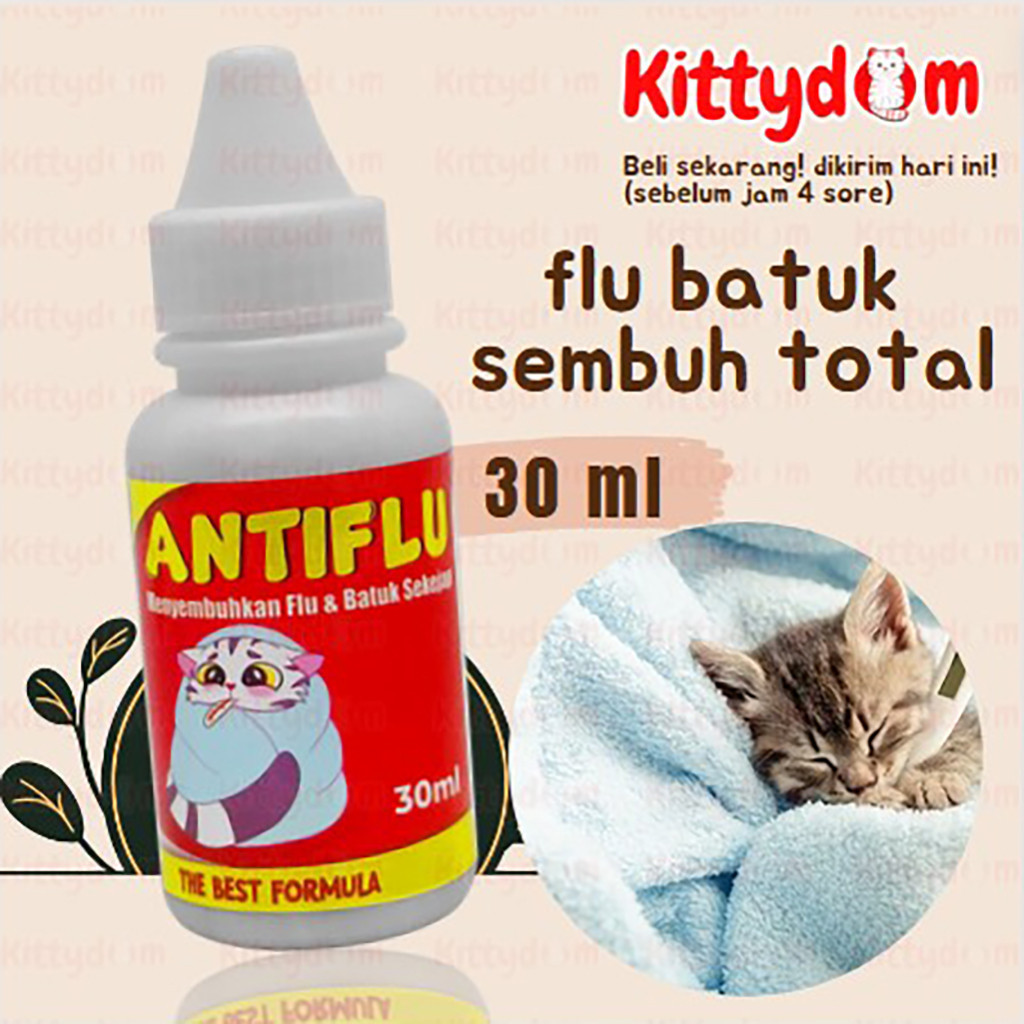 Jual KITTYDOM Anti Flu Kucing Obat Batuk Pilek Antibiotik Kucing Kitten ...
