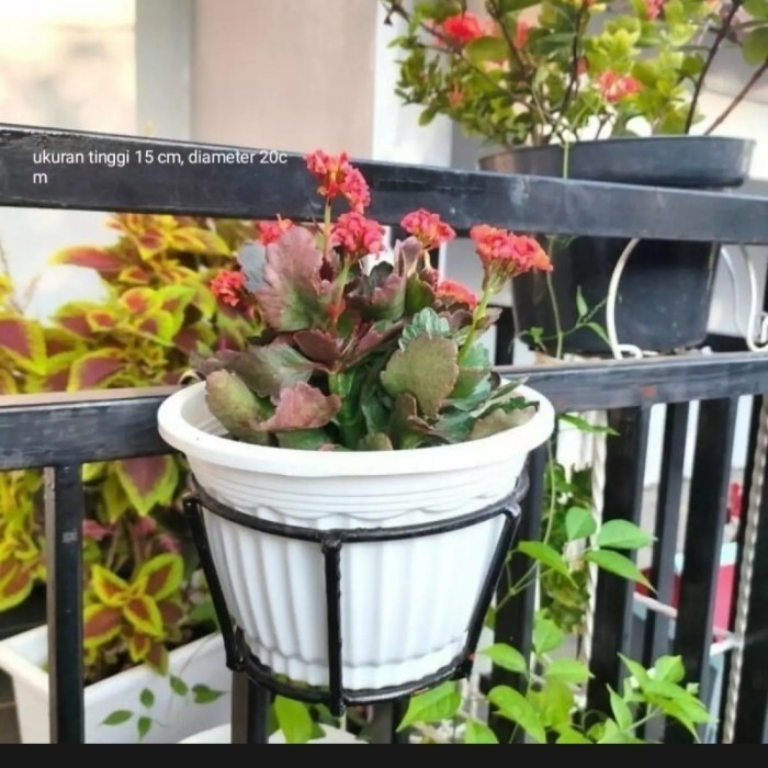 Jual RAK POT GANTUNG/RAK POT PAGAR/RAK POT GARASI/RAK POT TANAMAN HIAS ...