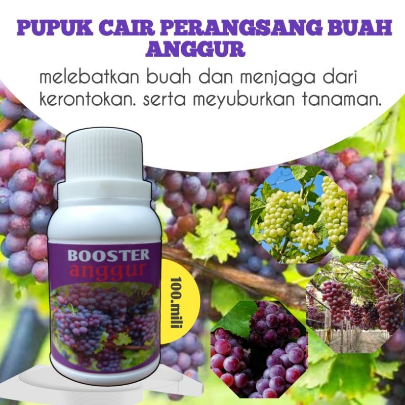 Jual pupuk boster anggur perangsang bunga dan pelebat buah 100 ml bisa COD promo TERLARIS ...