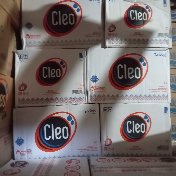 Jual Cleo Air Mineral Gelas 220ml 1 dus isi 40 cup | Shopee Indonesia