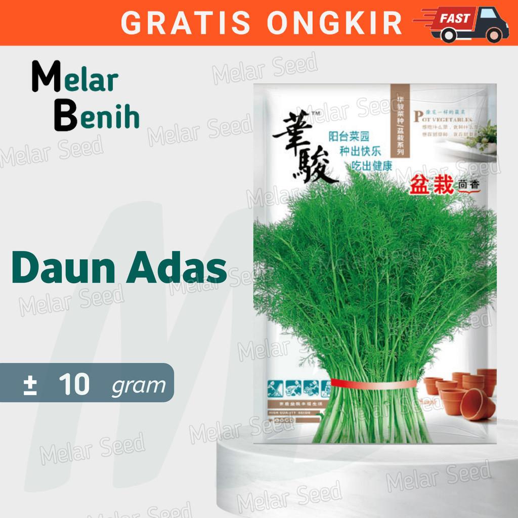 Jual 0A BENIH SAYUR DAUN ADAS BERKUALITAS KEMASAN PABRIK-BIBIT SAYUR ...