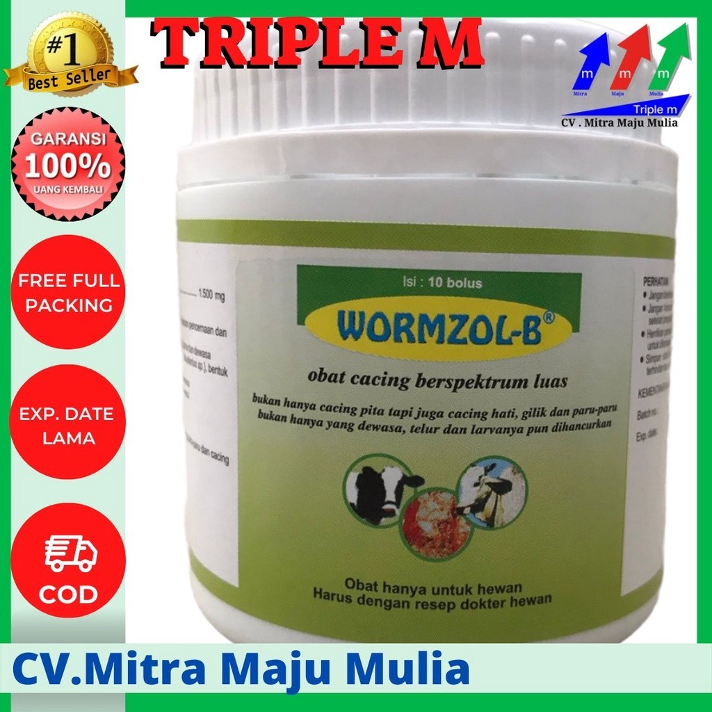 Jual WORMZOL B 10 BOLUS POT - Obat Cacing Cacingan Sapi Kerbau Kuda ...