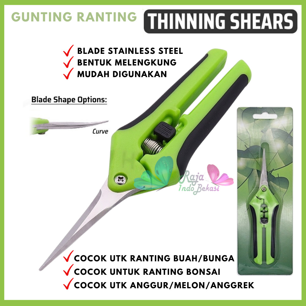 Jual Gunting Ranting Buah Melengkung untuk Gunting Buah Anggur Melon ...