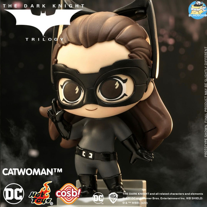Jual Hot Toys - Cosb! The Dark Knight Trilogy - 1pc - Catwoman | Shopee ...