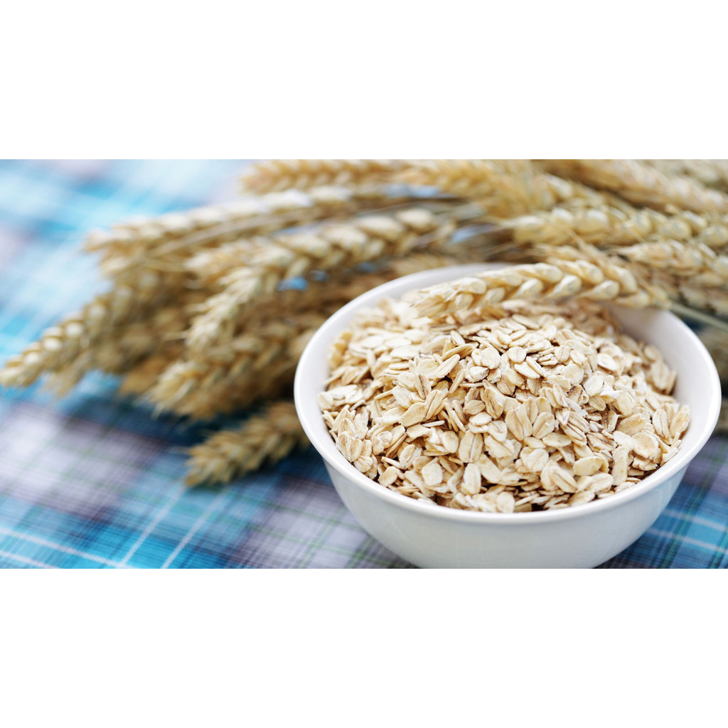 Jual Rolled Instant Choco Chip Oat Oatmeal ORG4N1C 500 Gram (Pack ...