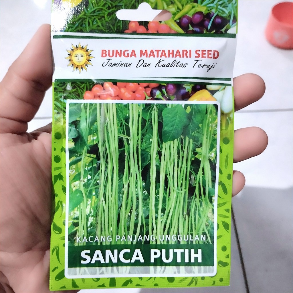 Jual Benih SP Kacang Panjang SANCA PUTIH isi 150 Biji BIbit Cap Bunga ...