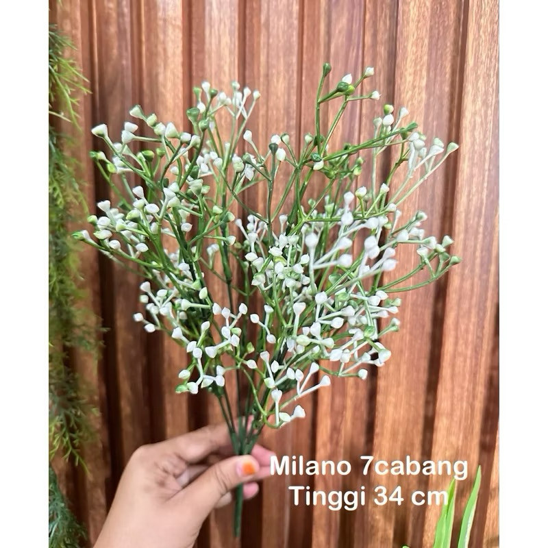 Jual Bunga Baby Milano 7 cabang ( Tanpa Pot) | Shopee Indonesia