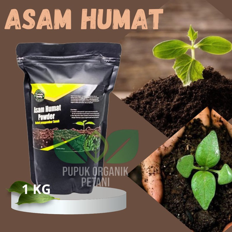 Jual Pupuk Asam Humat 1 Kg Pembenah Tanah Untuk Semua Tanaman Padi Cabai Buah Bunga Memperbaiki ...