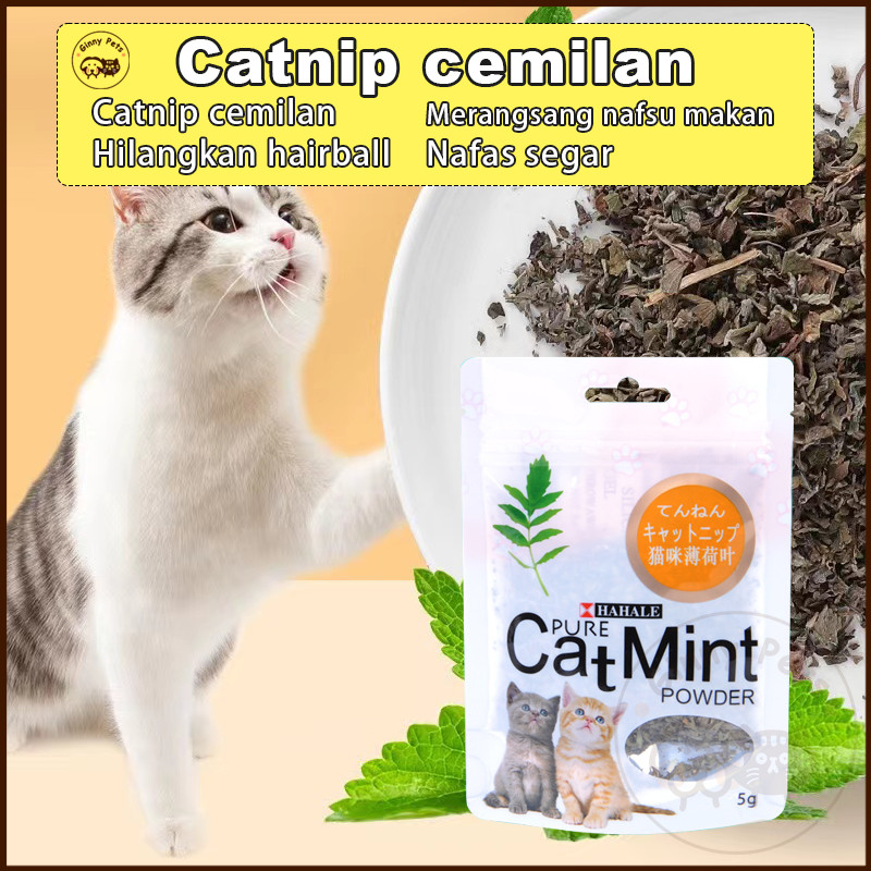 Jual Catnip SASET Mainan Kucing Obat Catmint Penenang Serbuk Rumput ...