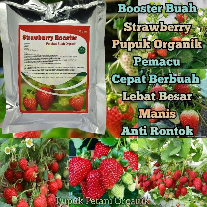 Jual NEW Pupuk Organik Pelebat dan Booster Strawberry Cepat Berbuah Lebat | Shopee Indonesia