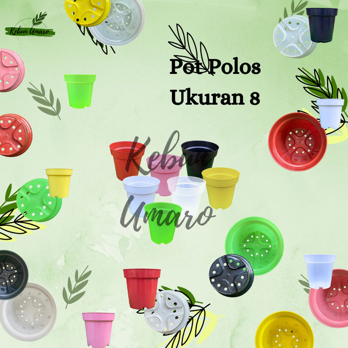 Jual Pot Polos Ukuran 8 / Pot Tinggi / Pot Srondol / Pot Tanaman / Pot ...
