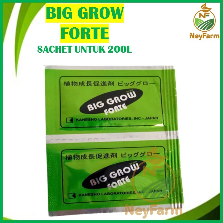 Jual ZPT Big Grow Forte 20WP sachet 20 Liter | Shopee Indonesia