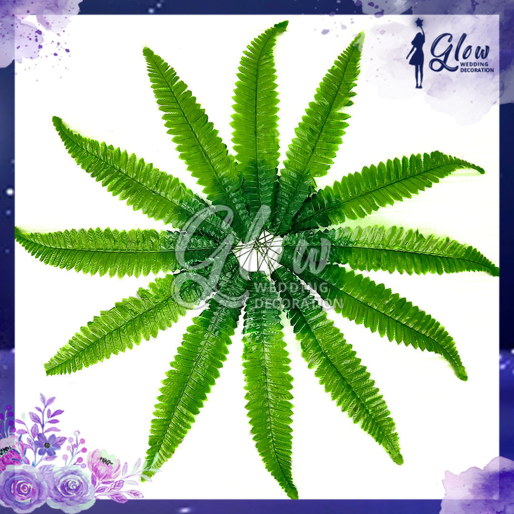 Jual DAUN PAKIS BOSTON ARTIFICIAL DAUN BUATAN PREMIUM IMPORT MURAH ...