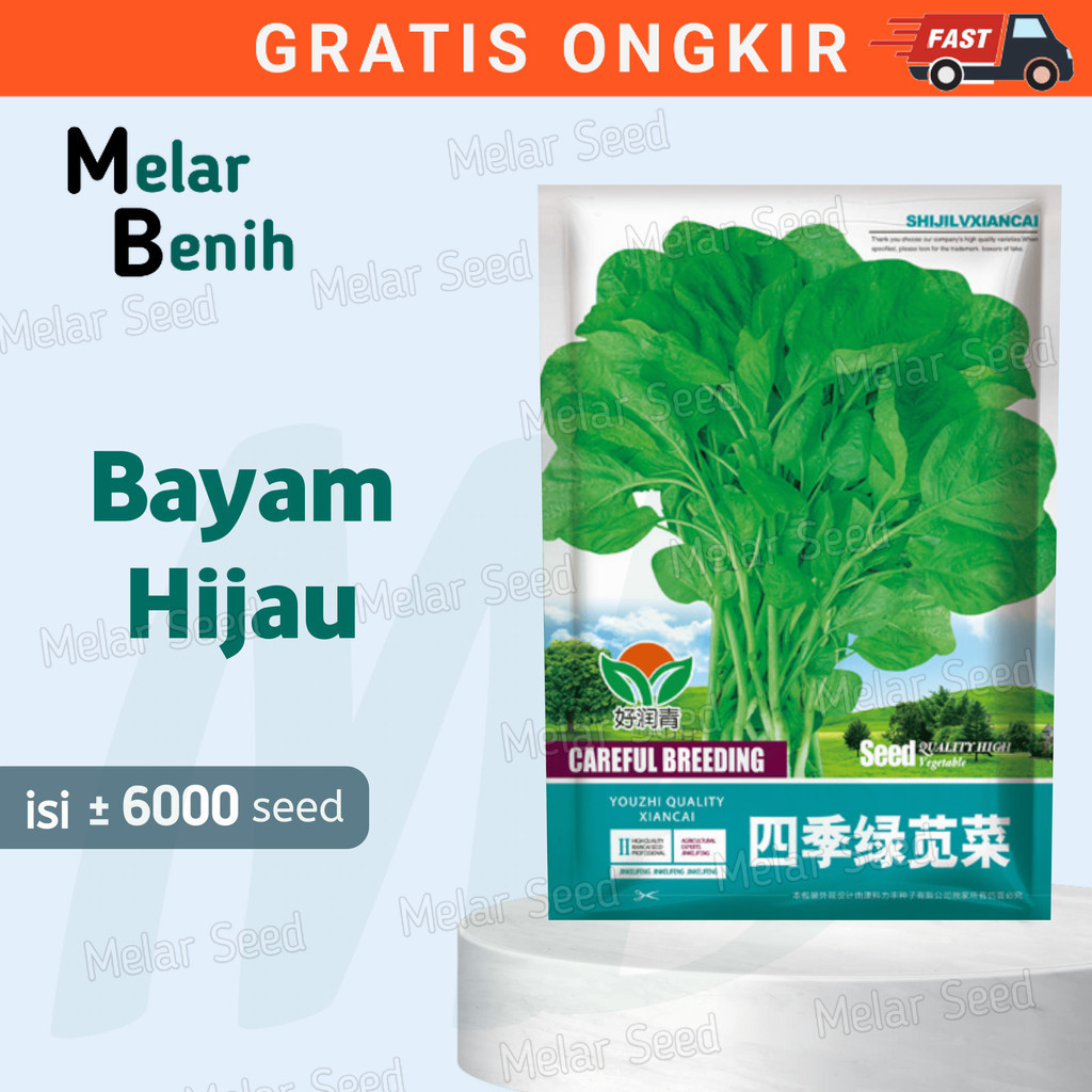 Jual 0D BENIH SAYUR BAYAM HIJAU BERKUALITAS KEMASAN PABRIK-BIBIT ...