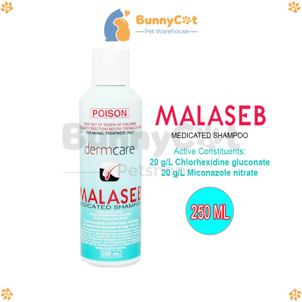 Jual Poison Malaseb Medicated Shampoo Dermcare 250ml shampo jamur ampuh ...