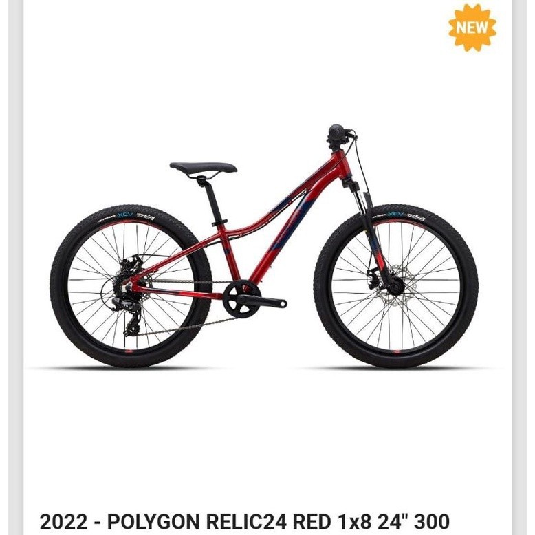 Jual sepeda polygon Relic 24 | Shopee Indonesia
