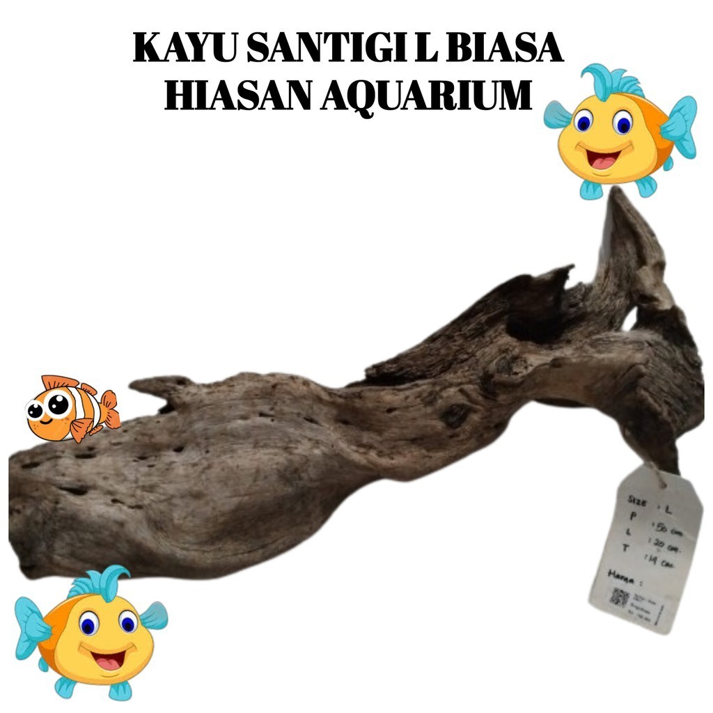 Jual Kayu Akar Santigi Stigi Laut Ukuran L Biasa Aquascape Hiasan ...