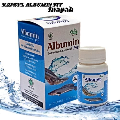 Jual ALBUMIN FIT Kapsul Ekstrak Ikan Gabus Obat Penyembuhan Pasca Operasi isi 60 kapsul ori ...