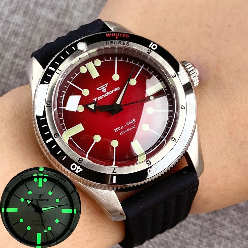 Jual Jam Tangan Pria Tandorio Red Blue 40mm NH35 PT5000 Mechanical ...