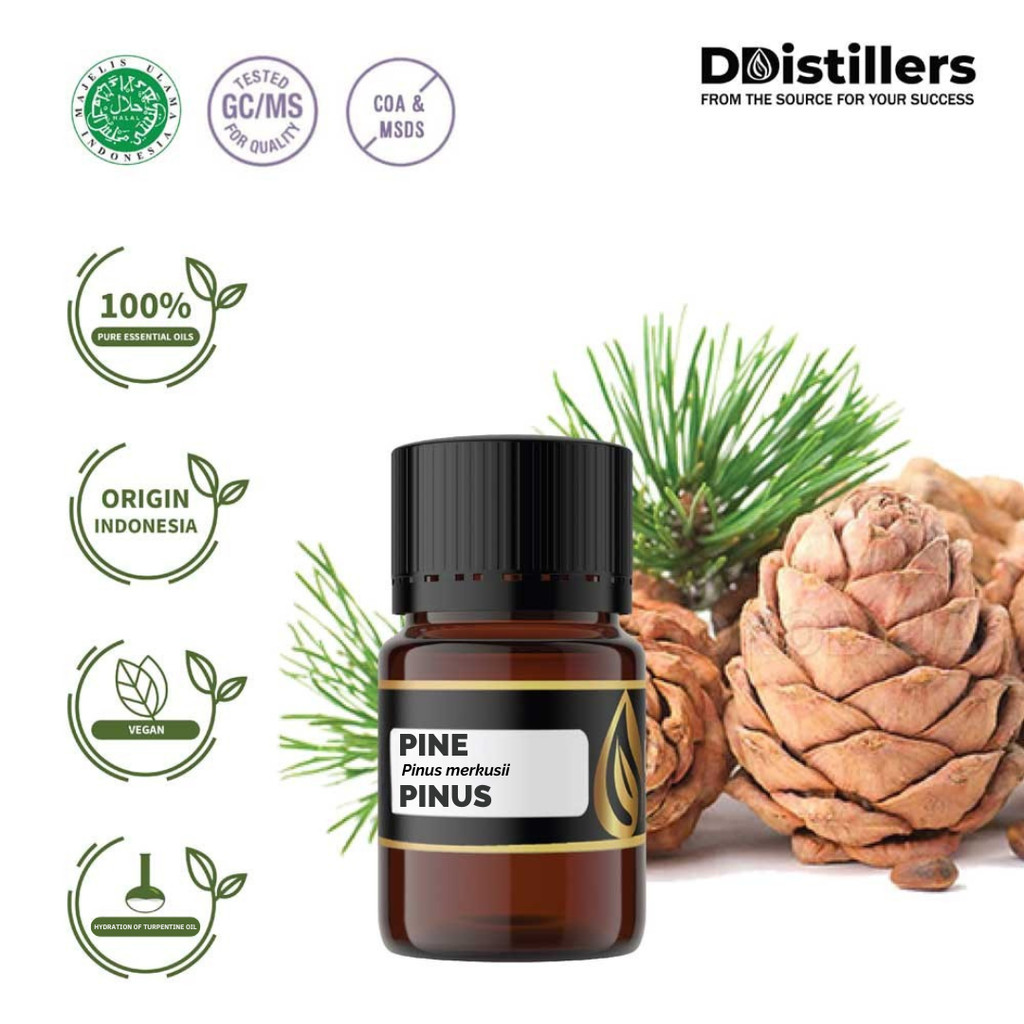 Jual Pine / Pinus Essential Oil Pure 100%, Ukuran 2-10ML GS Amber ...
