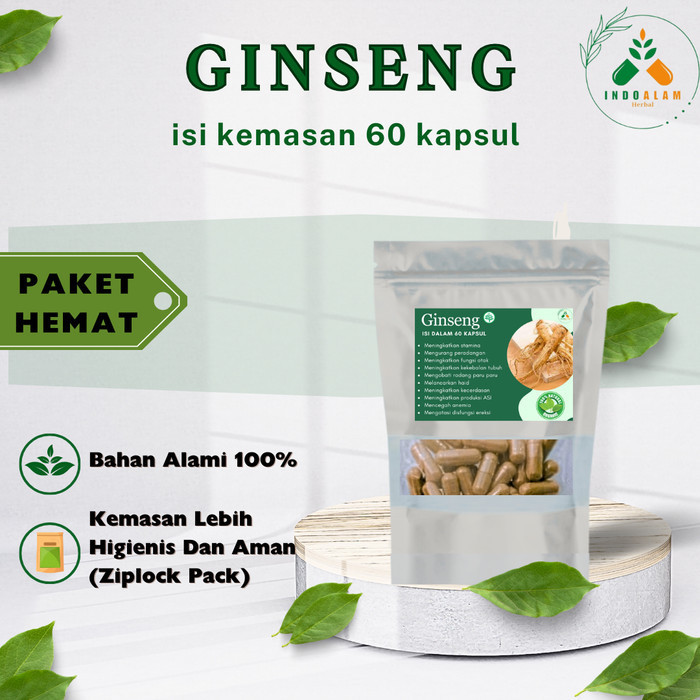Jual Obat Herbal Ginseng 60 Kapsul Meningkatkan Fungsi Otak Radang Paru ...