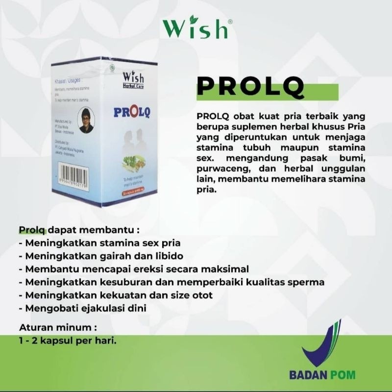 Jual Wish Prolq Kapsul - Multivitamin Pria 30 Kapsul - Prolq Kapsul ...