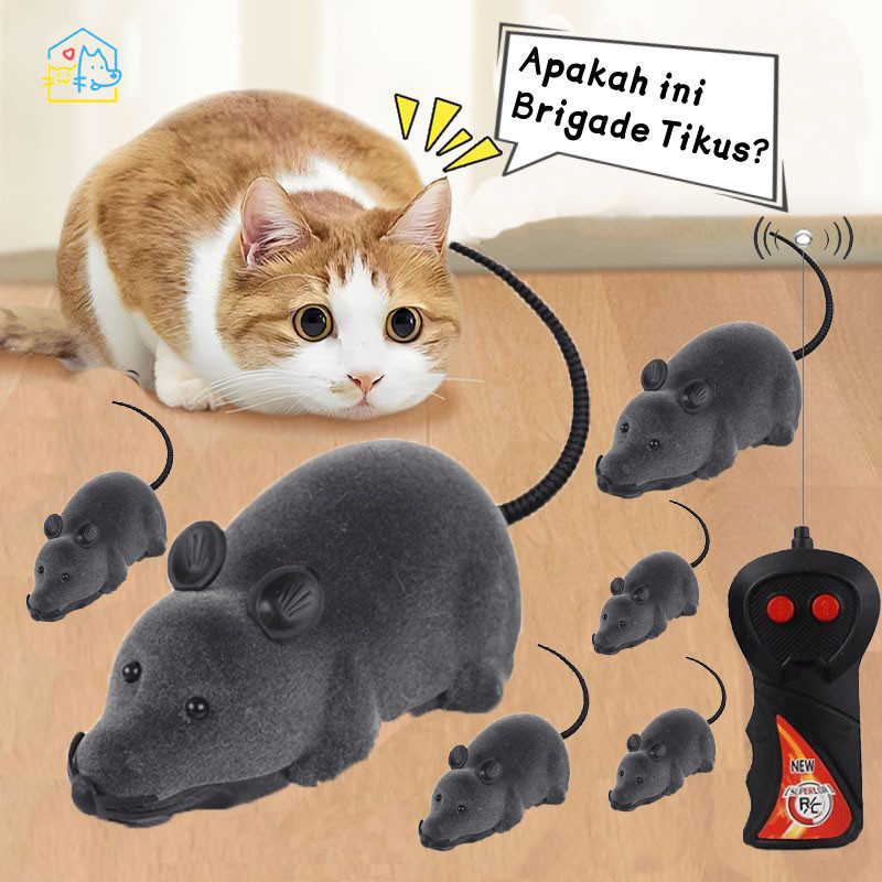 Jual Mainan Tikus Listrik Remote Control Mencit Kucing Cat Toys Tikus ...