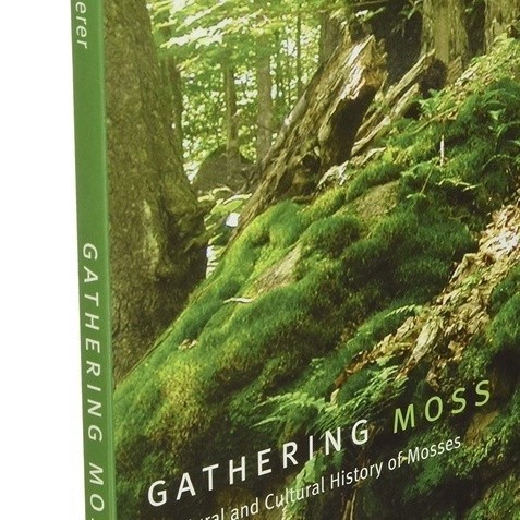 Jual Buku Murah Gathering Moss by Robin Wall Kimmerer | Shopee Indonesia