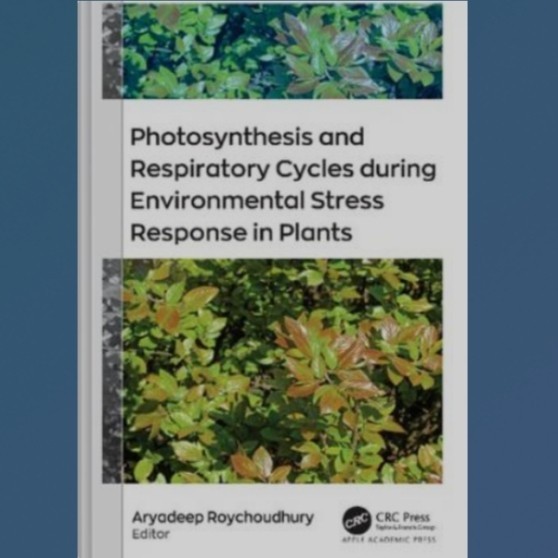 Jual Buku Photosynthesis and Respiratory Cycles during Environmental ...