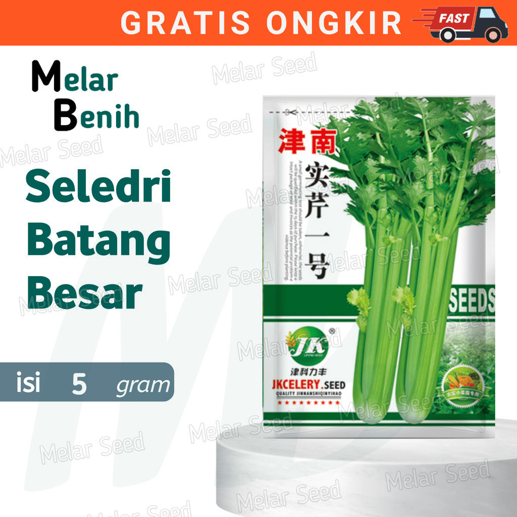 Jual 0A BENIH SAYUR SELEDRI BATANG BESAR BERKUALITAS KEMASAN PABRIK ...