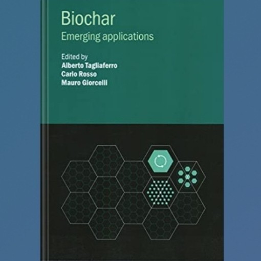 Jual Buku Biochar Emerging applications | Shopee Indonesia