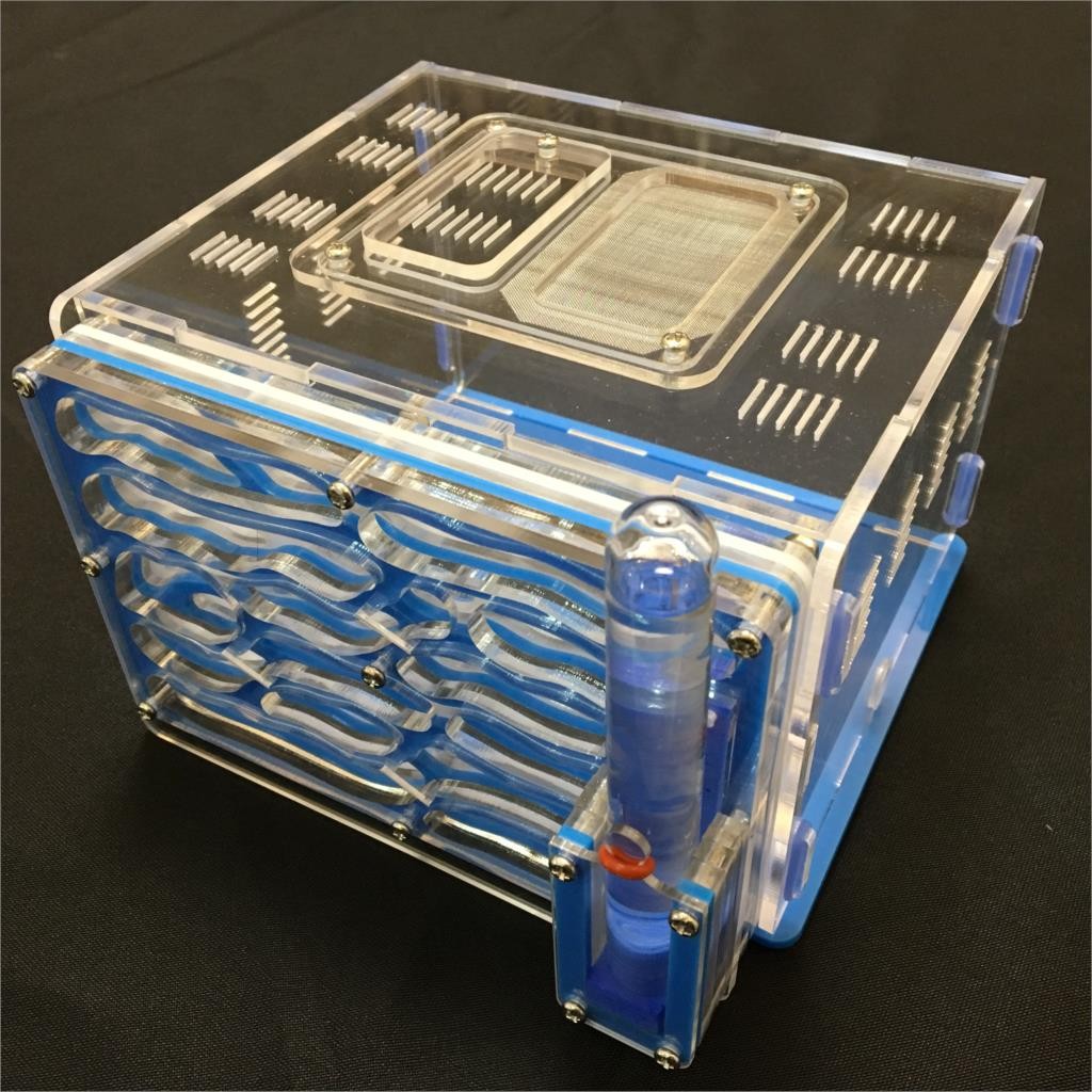 Jual big 9color available DIY moisture with feeding area ant nest ,ant farm acryl, insect ant ...