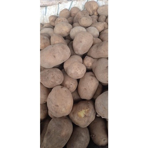 Jual Kentang kuning 1kg | Shopee Indonesia