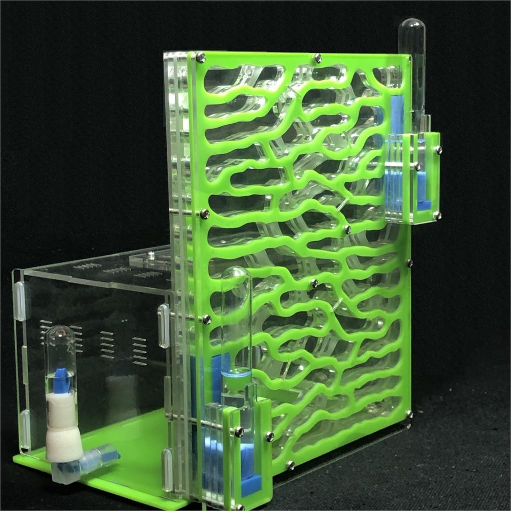 Jual DIY Large Acrylic Ant Farm with Feeding Area Big Ants House Ant ...