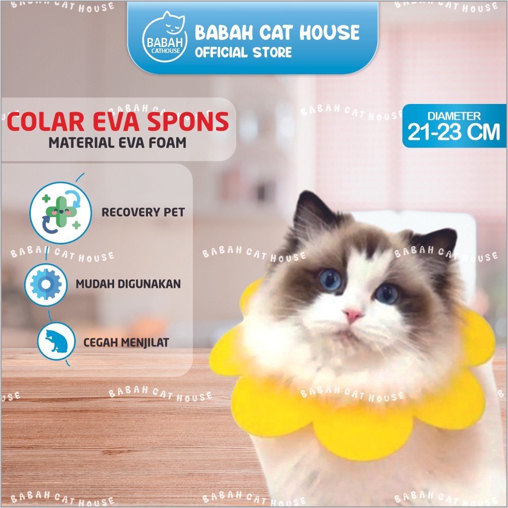 Jual COLAR EVA SPONS Bunga untuk Kucing Anjing Pet Cat Dog Collar ...