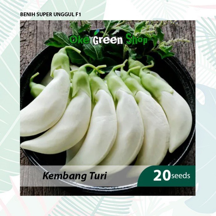 Jual Benih Seribuan - 20 Biji Benih Bibit Kembang Turi Putih Sayuran ...