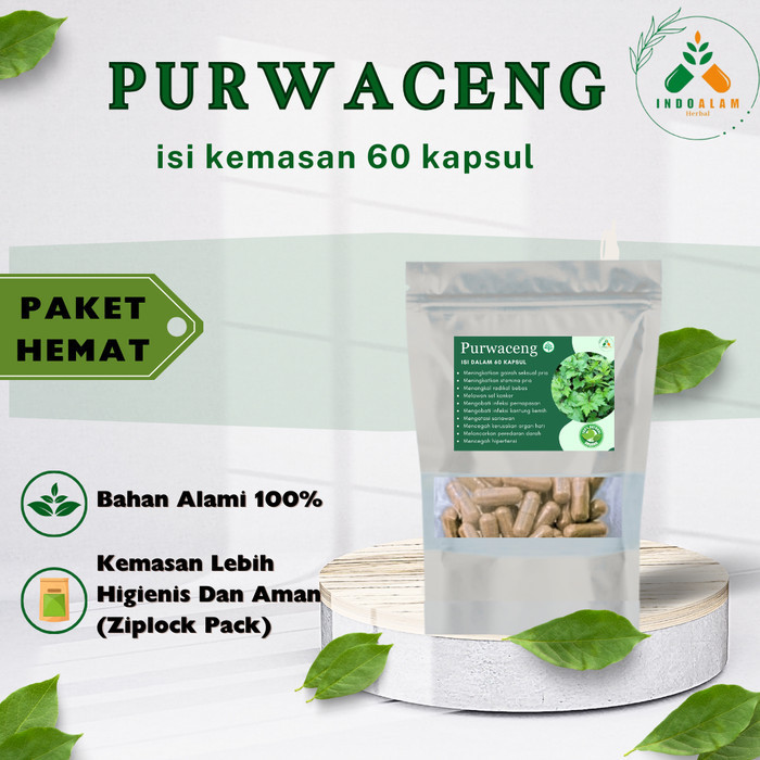 Jual Obat Herbal Kapsul Purwaceng 60 pcs Vitalitas Pria Hipertensi ...