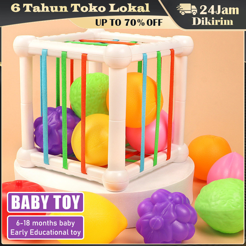 Jual Bola Induksi Edukasi Bayi / Textured Touch Rattle Ball / Mainan ...