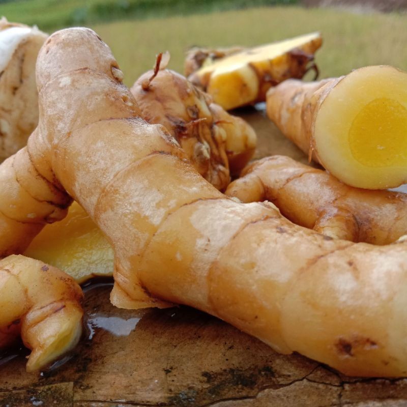 Jual TEMU MANGGA SEGAR FRESH 1 KG Wangi Mangga | Shopee Indonesia