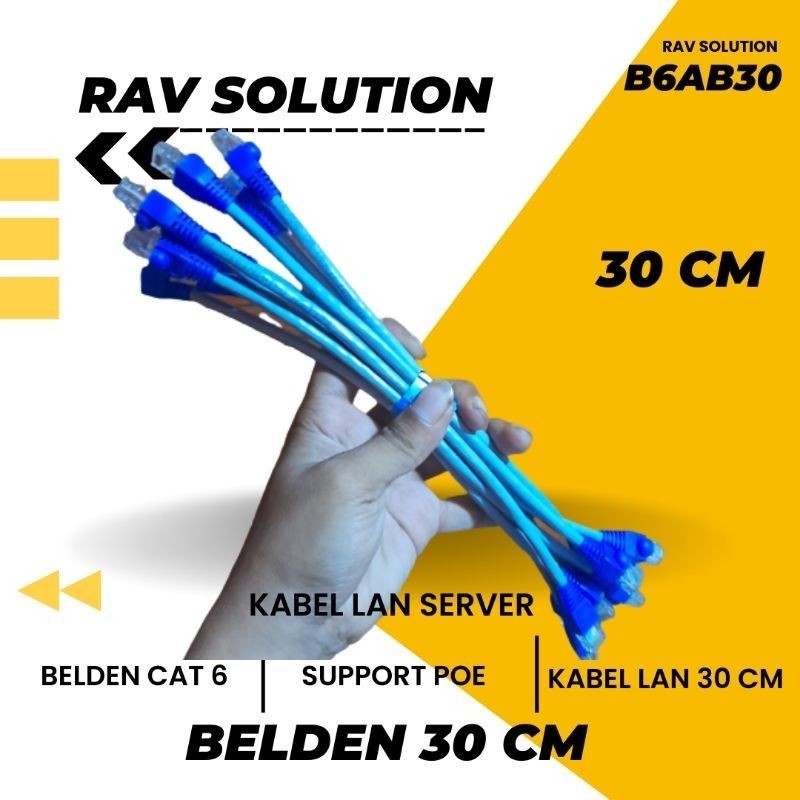Jual KABEL LAN SERVER BELDEN CAT 6 30 CM CUSTOM RAV BAB30 | Shopee ...