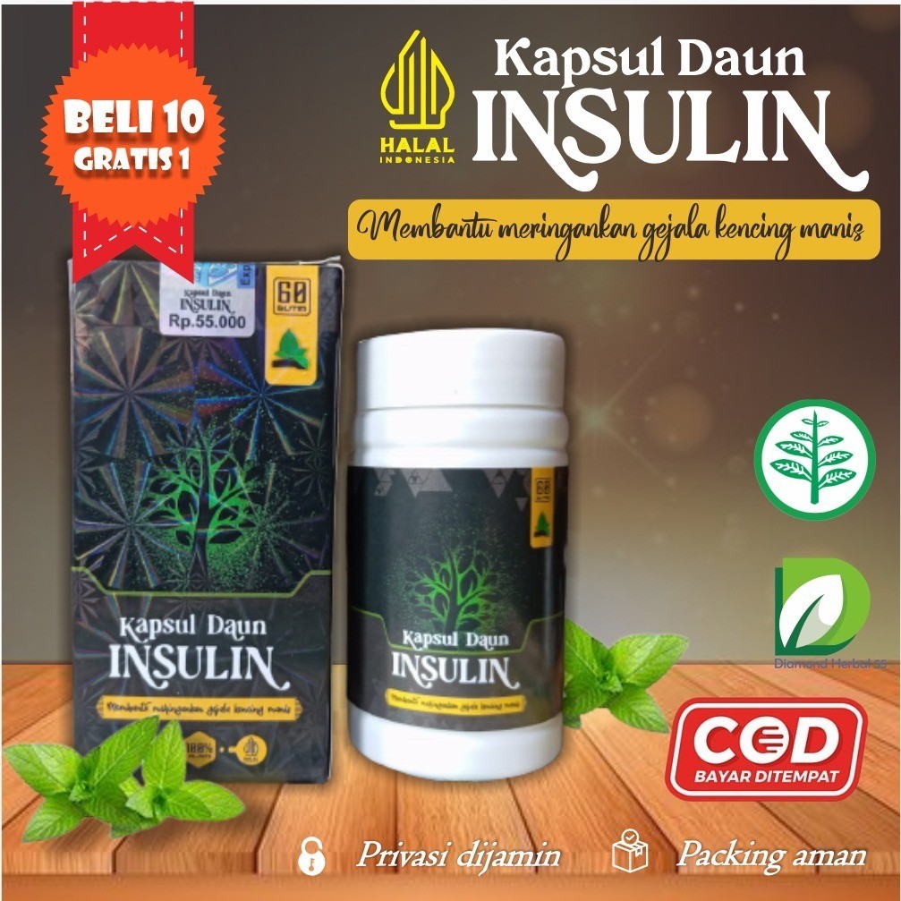 Jual Kapsul Daun INSULIN kapsul daun Insulin obat herbal DIABETES ...